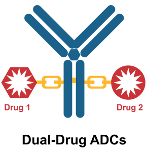 NJ Bio, Inc. — Recent Advances in ADCs