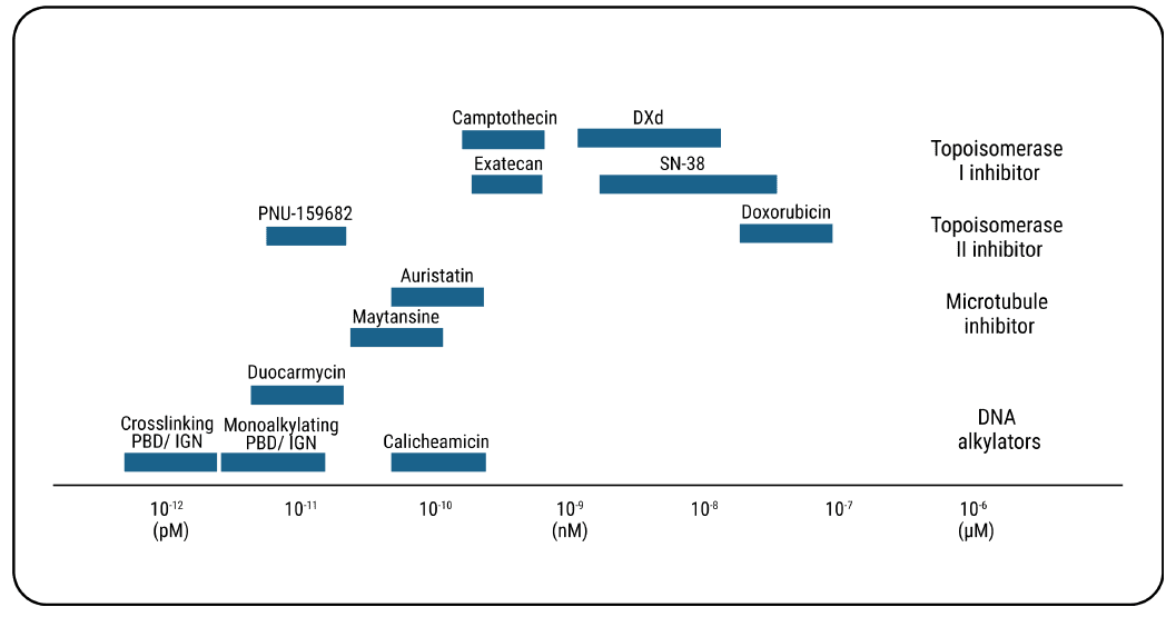 NJ Bio, Inc. — Recent Advances in ADCs