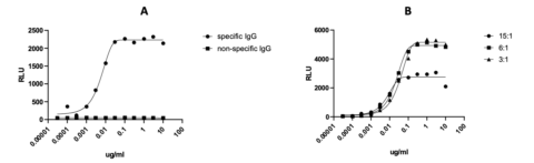 NJ Bio, Inc. — Cell Based Functional Assay including Cytotoxicity Assays