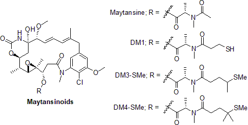 NJ BIO — ADC Payload Classes