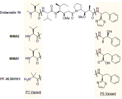 NJ Bio, Inc. — ADC Payload Classes