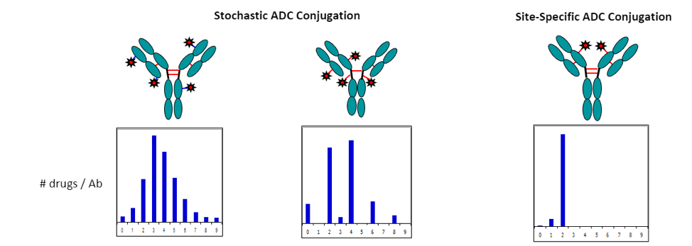 NJ BIO — Introduction to Antibody-Drug Conjugates