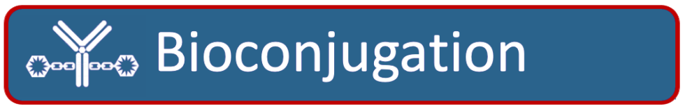 NJ Bio, Inc. - Integrated Chemistry Service Provider