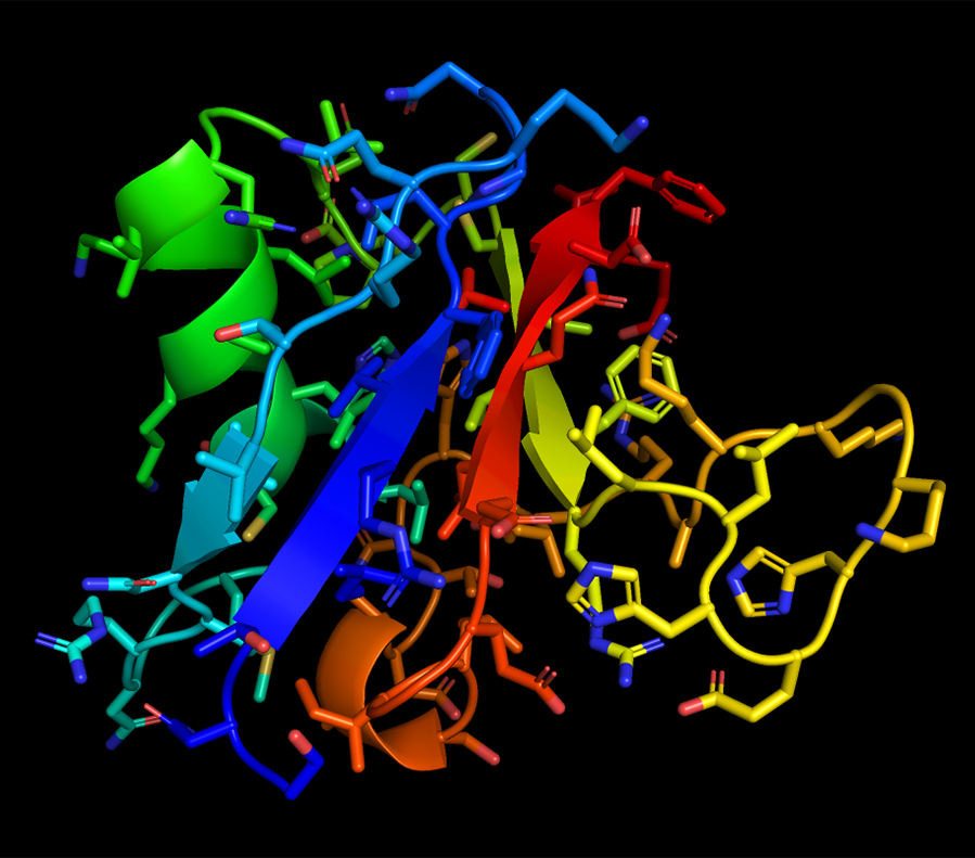 NJ BIO — Bio-NMR Services