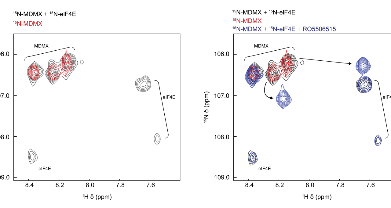 NJ Bio, Inc. — BioNMR for Drug Discovery