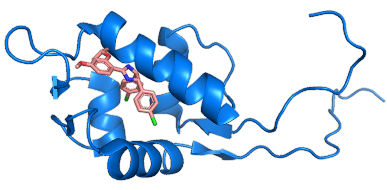 NJ Bio, Inc. — BioNMR for Drug Discovery