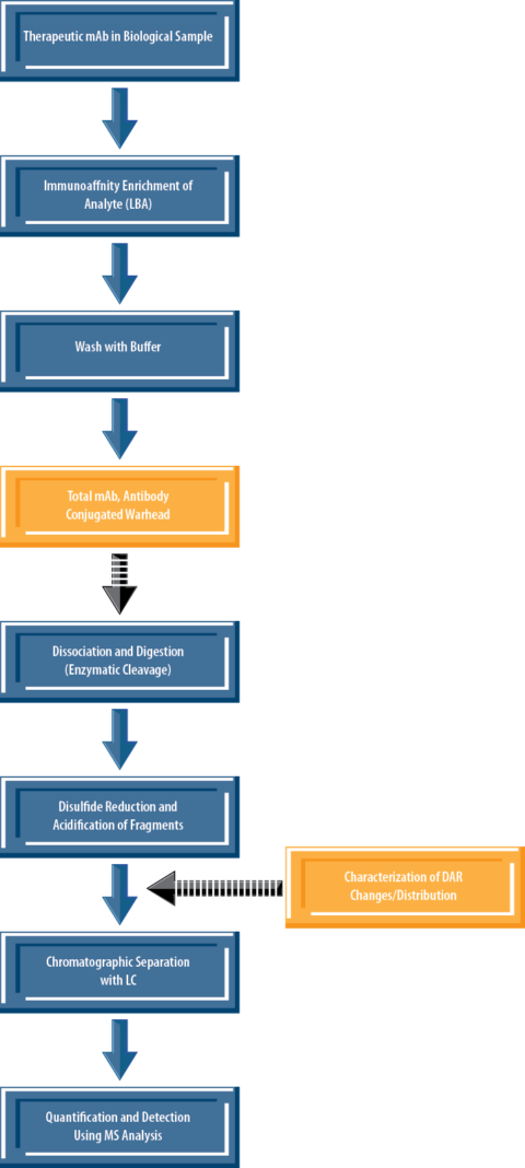 NJ Bio, Inc. — Bioanalytical Services for ADCs and other Bioconjugates