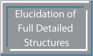 NJ Bio, Inc. — Bio-NMR Services