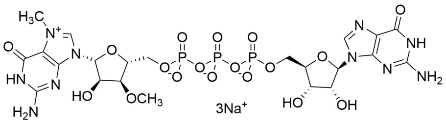 NJ Bio, Inc. - mRNA Services