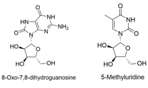 NJ Bio, Inc. - mRNA Services