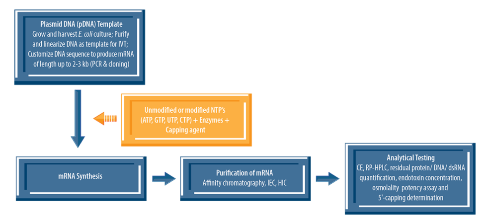 NJ Bio, Inc. - mRNA Services