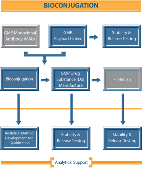 NJ Bio, Inc. — Manufacturing Services
