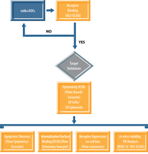NJ Bio, Inc. — Cell Based Functional Assay including Cytotoxicity Assays