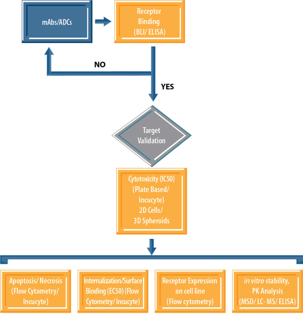 NJ Bio, Inc. — Cell Based Functional Assay including Cytotoxicity Assays