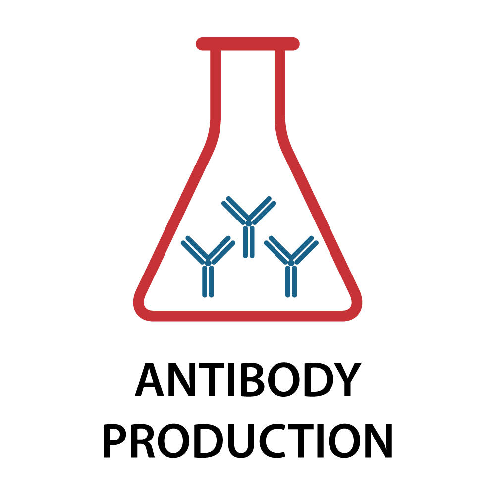 NJ Bio, Inc. — Antibody Production