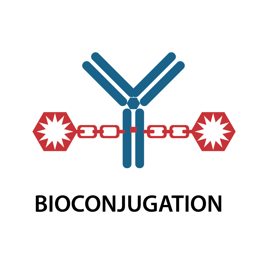 NJ Bio, Inc. — Bioconjugation Services