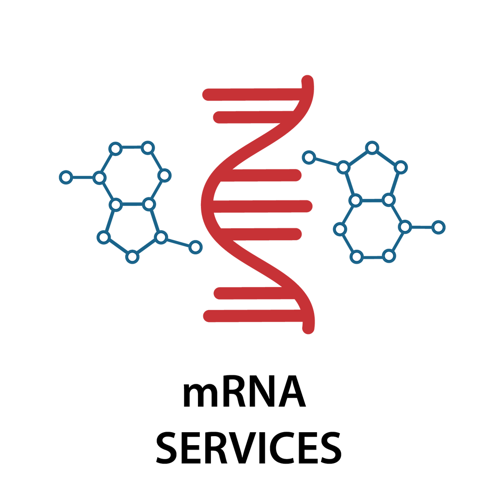 NJ Bio, Inc. - mRNA Services