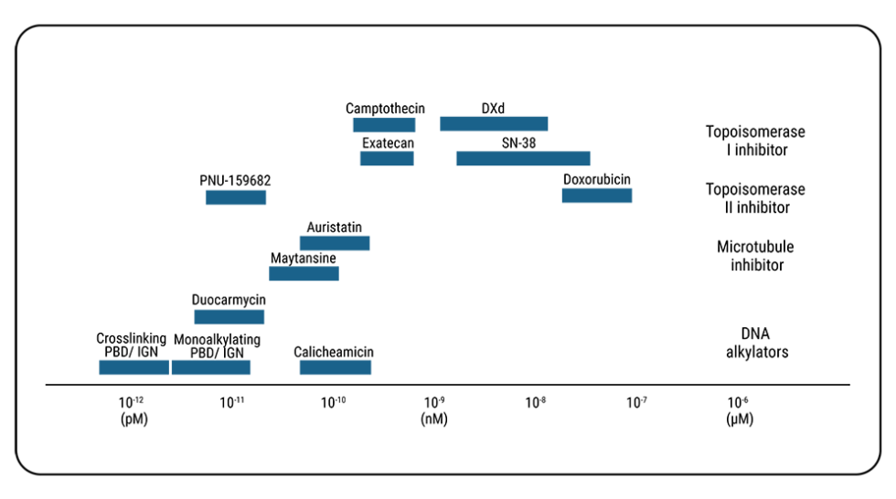 NJ Bio, Inc. — Recent Advances in ADCs