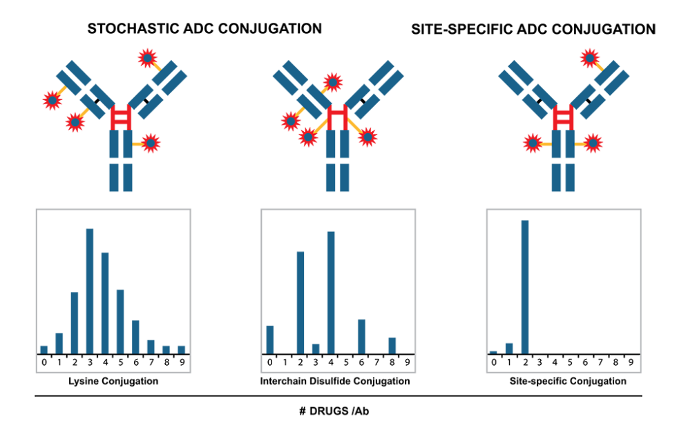 NJ Bio, Inc. — Recent Advances in ADCs