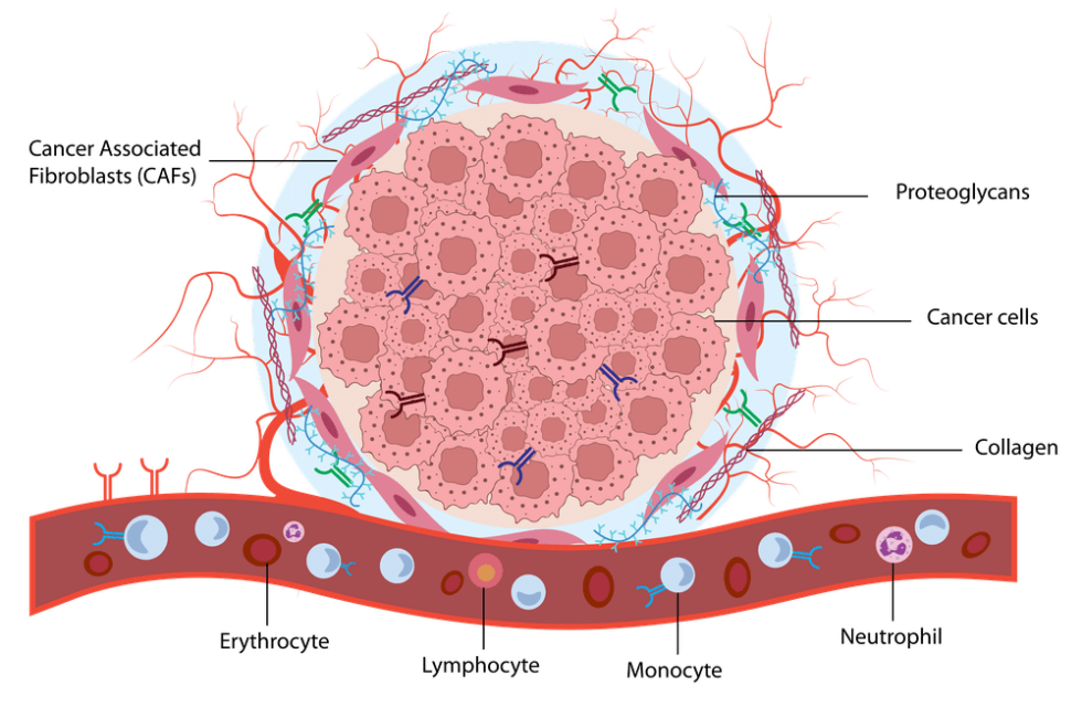 NJ Bio, Inc. — Recent Advances in ADCs
