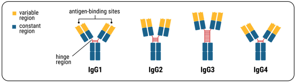 NJ Bio, Inc. — Recent Advances in ADCs